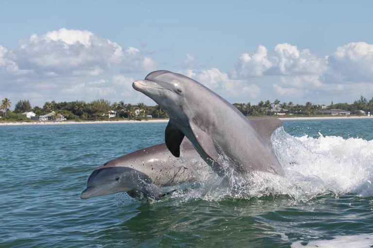 Delray Beach Boat Tours